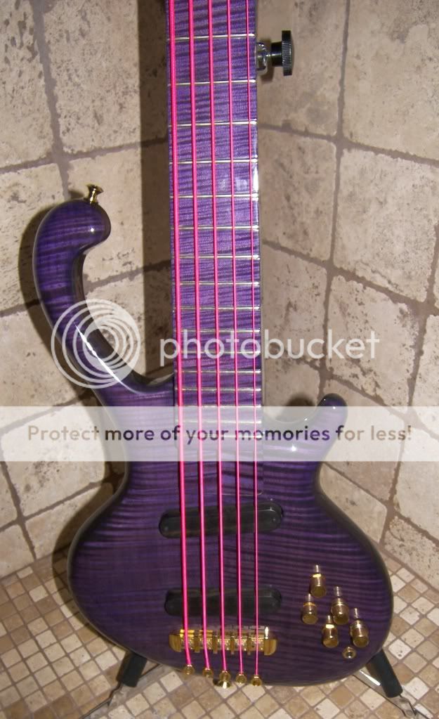 New DR neon strings | Page 8 | TalkBass.com